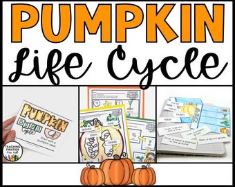 Life Cycle Pumpkin - Etsy
