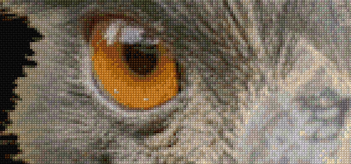 Realistic Aussie Emu Cross Stitch Pattern Photo Large Very - Etsy