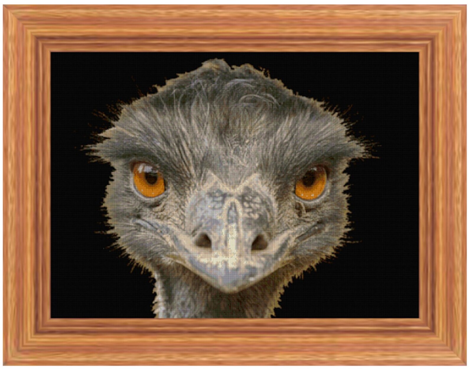 Realistic Aussie Emu Cross Stitch Pattern Photo Large Very - Etsy
