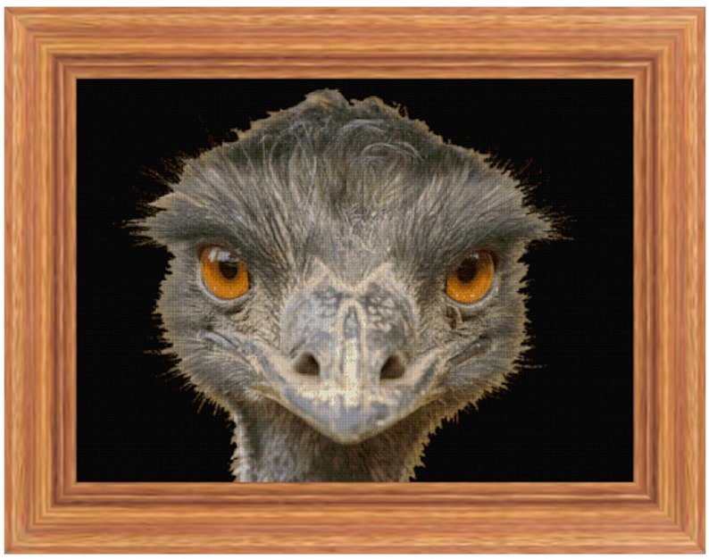 Realistic Aussie Emu Cross Stitch Pattern Photo Large Very - Etsy