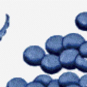 Willow Pattern Cross Stitch Design for Oval Frame Includes Full Pattern ...