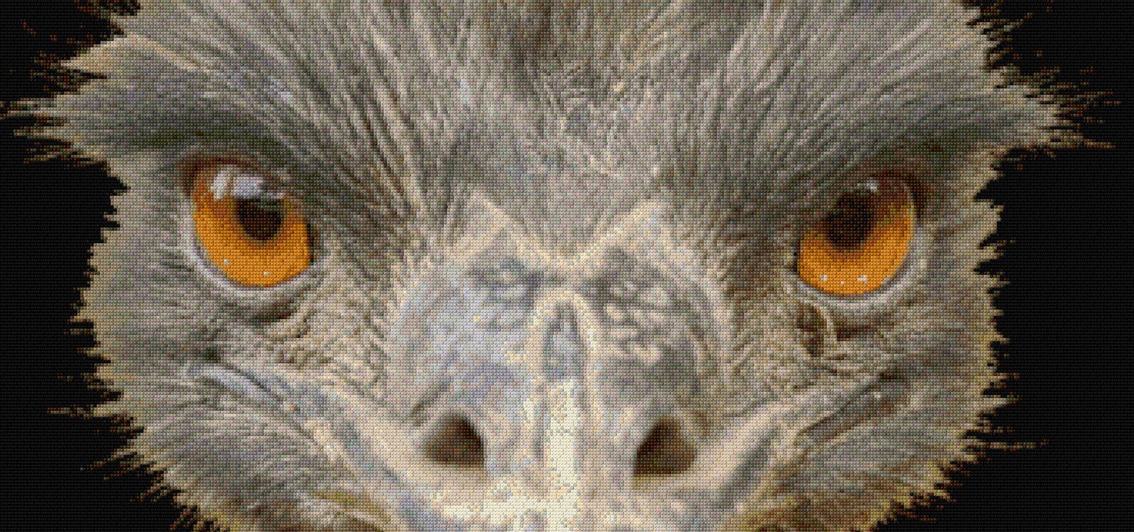 Realistic Aussie Emu Cross Stitch Pattern Photo Large Very - Etsy