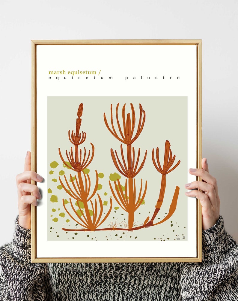 Moss Stylized Art Print in Beautiful Colors Poster Graphic - Etsy