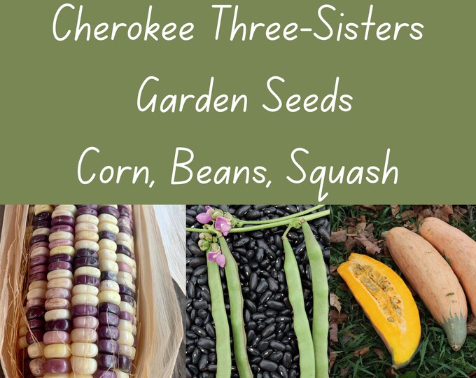 Cherokee Three Sisters Garden Seeds: Corn, Beans, Squash - Etsy