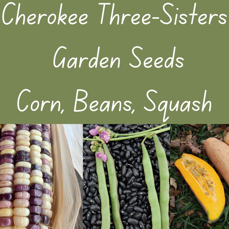 cherokeegarden - Etsy