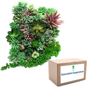 35 Pack Realistic Artificial Succulents: Bulk Faux Aloe Plants - Etsy