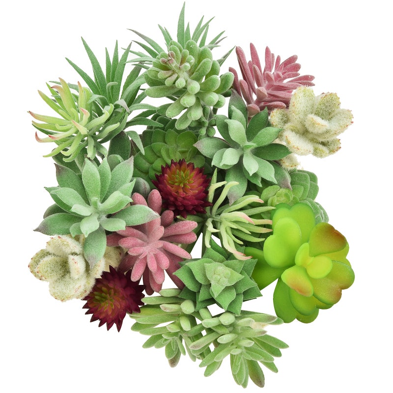 Artificial Succulent Small - Etsy