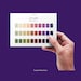 Anime Skin Tones - Procreate 30 Color Palette Swatches + Hex Codes ...