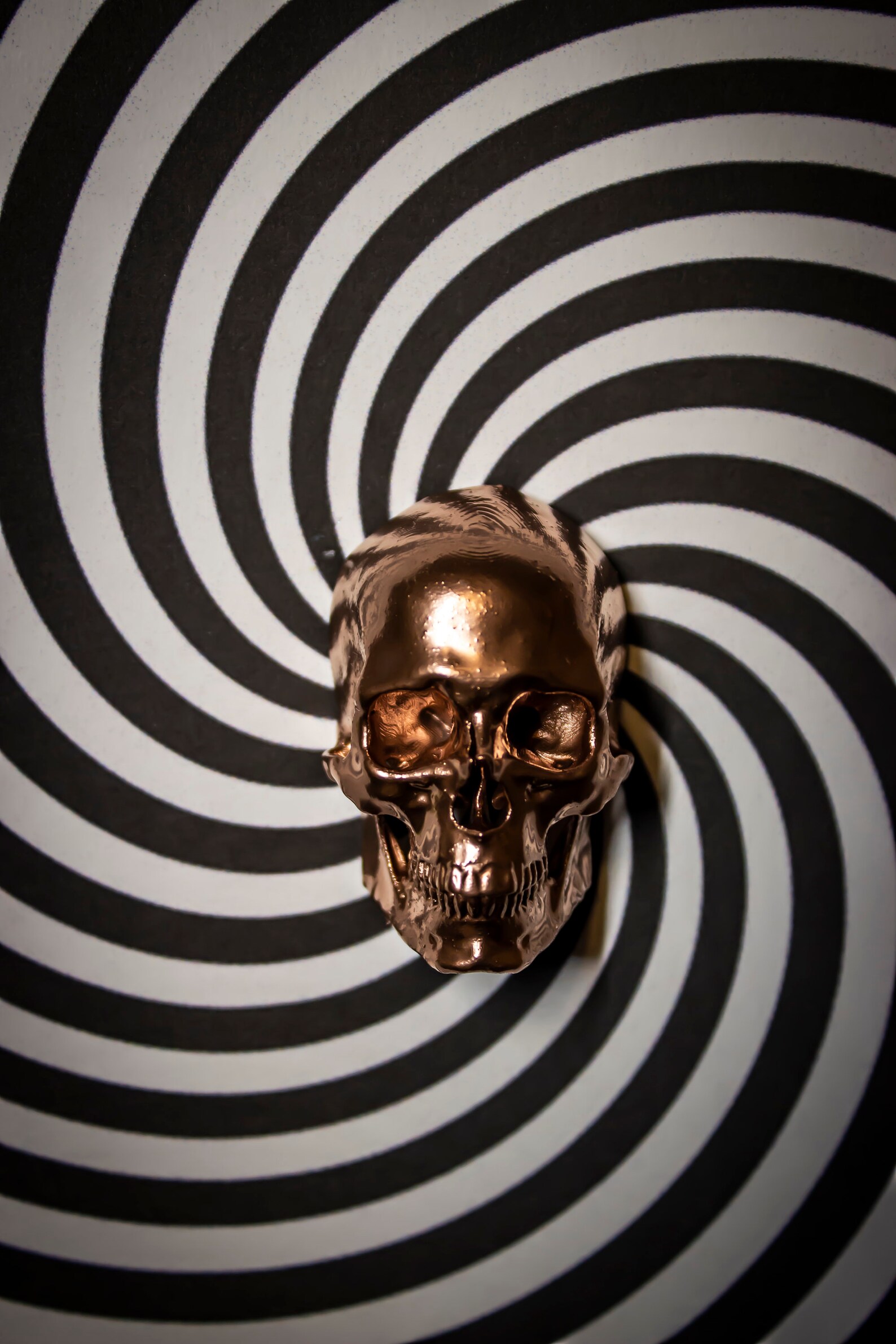 5 Piece Human Skull Magnets - Etsy