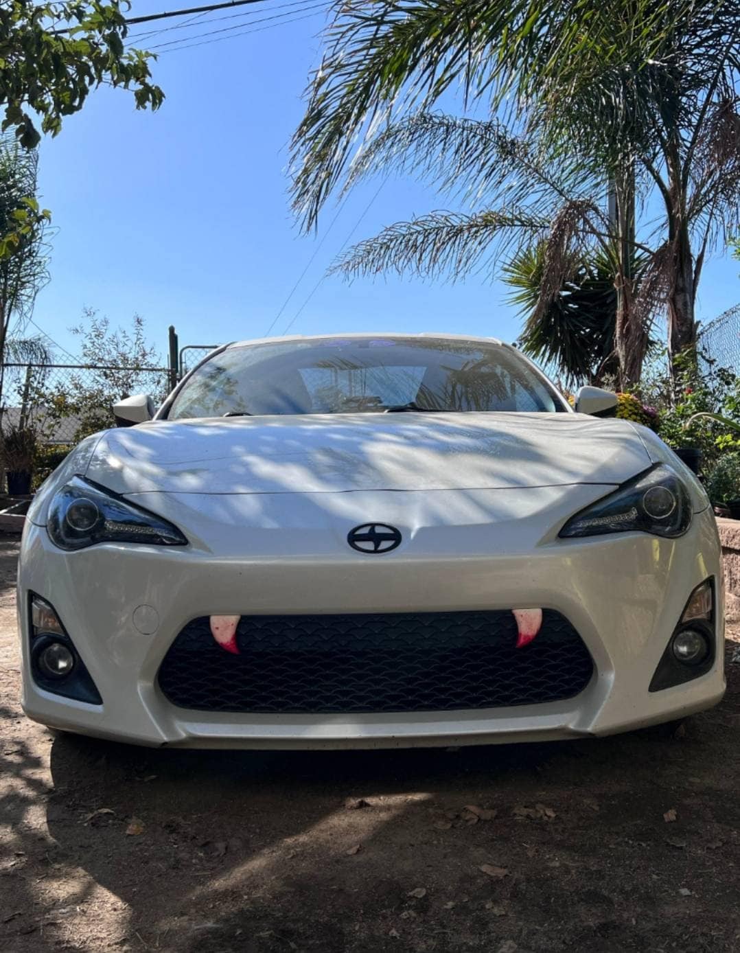 Bloody Car Fangs - Etsy