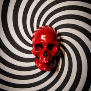 5 Piece Human Skull Magnets - Etsy
