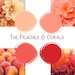 Peach Coral Color Palette - Canva Template, Branding Kit (digital ...