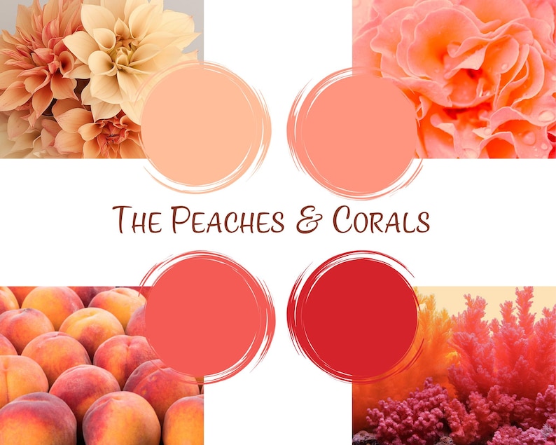 Flowery Beige Peach Coral – Digital Color Palette | Pastel Swatches ...