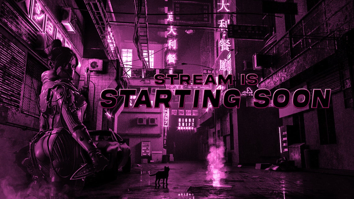 Apex Legends Wraith Starting Soon and Offline Screen Overlay | Etsy UK