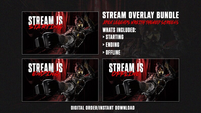 Wraith Airship Assassin Screen Pack - Etsy