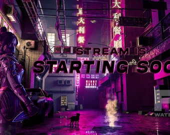 Apex Legends Wraith Starting Soon and Offline Screen Overlay - Etsy