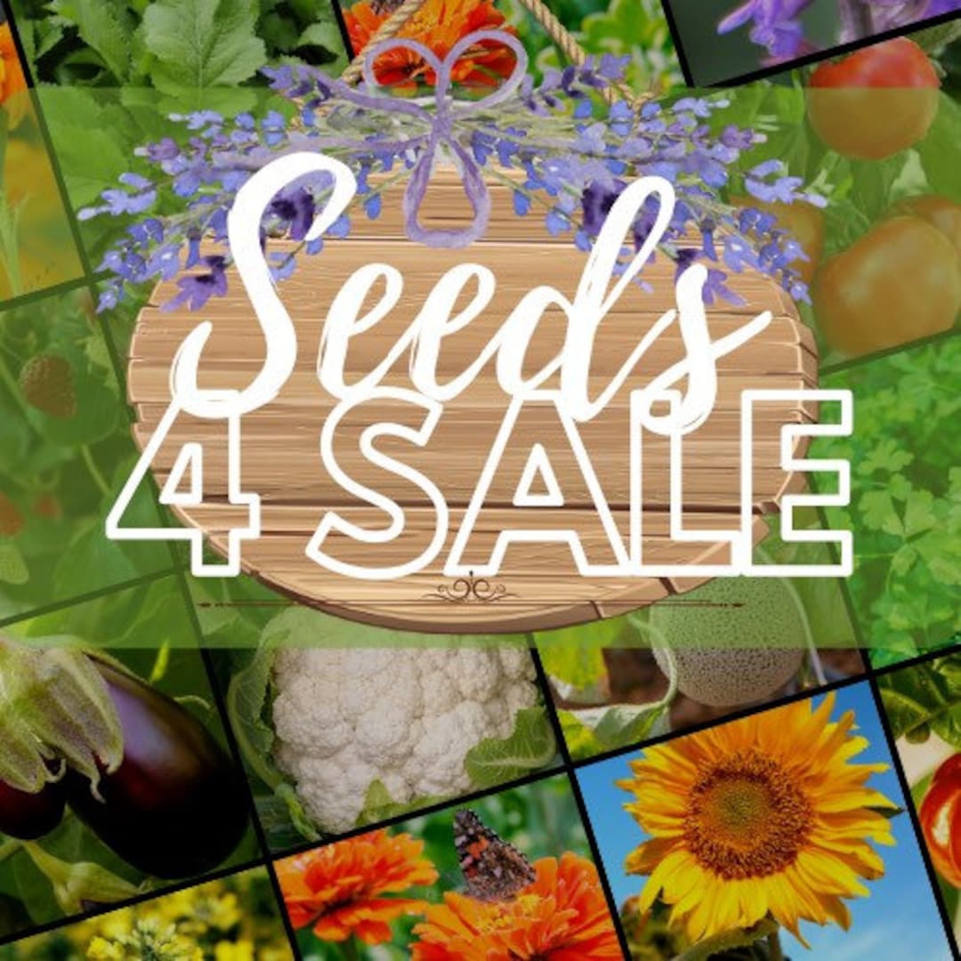 10 Spring Vegetable Seeds Bundles Organic & Non-gmo - Etsy