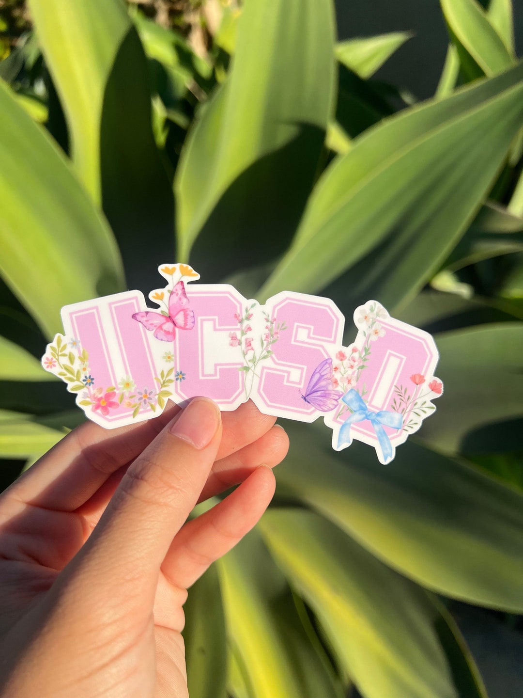 Cute UCSD, UCLA Merch, UCSD Pink Sticker, Cute Croquette University ...