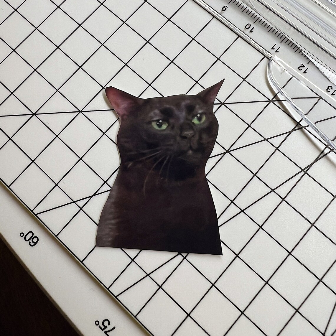 Zoning Out Black Cat Sticker No Border, Dissociating Cat Sticker, Cat ...