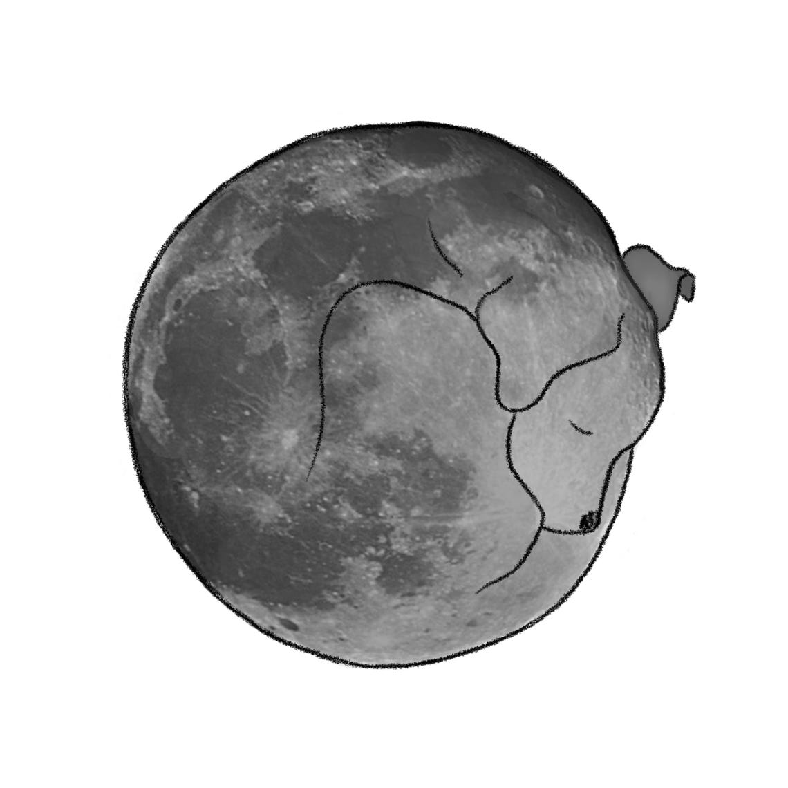 Labrador Moon Phase Cycle Panoramic Print - Etsy