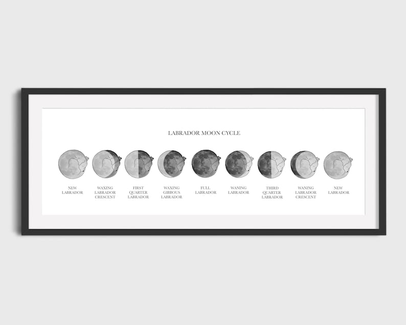 Labrador Moon Phase Cycle - Panoramic Print - Etsy