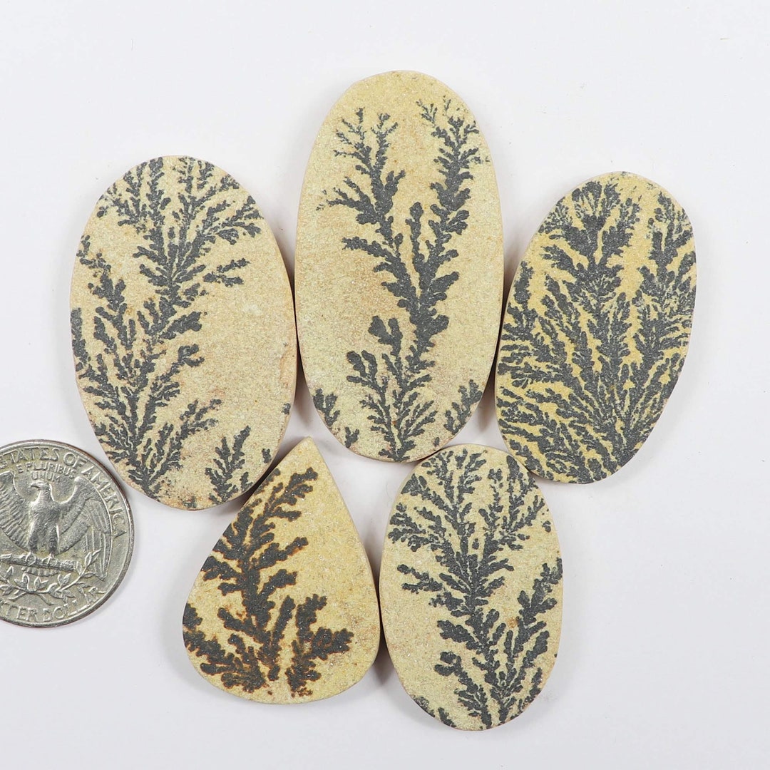 Amazing Quality Dendrite Fossil Cabochon , Natural Psilomelane Dendrite ...