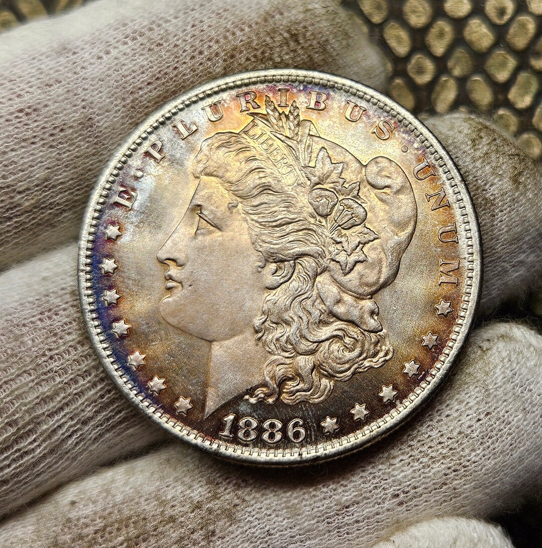 USA Dollar Morgan Coin 1886 United States Coin North American Coin ...