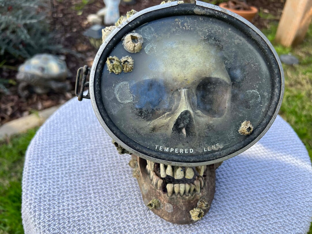 Barnacle-encrusted Diver's Skull - Etsy