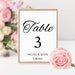 Minimalist Table Number Card Template, Calligraphy Table Numbers ...