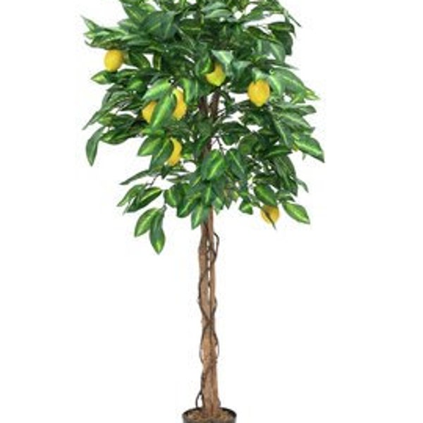 Lemon Tree - Etsy