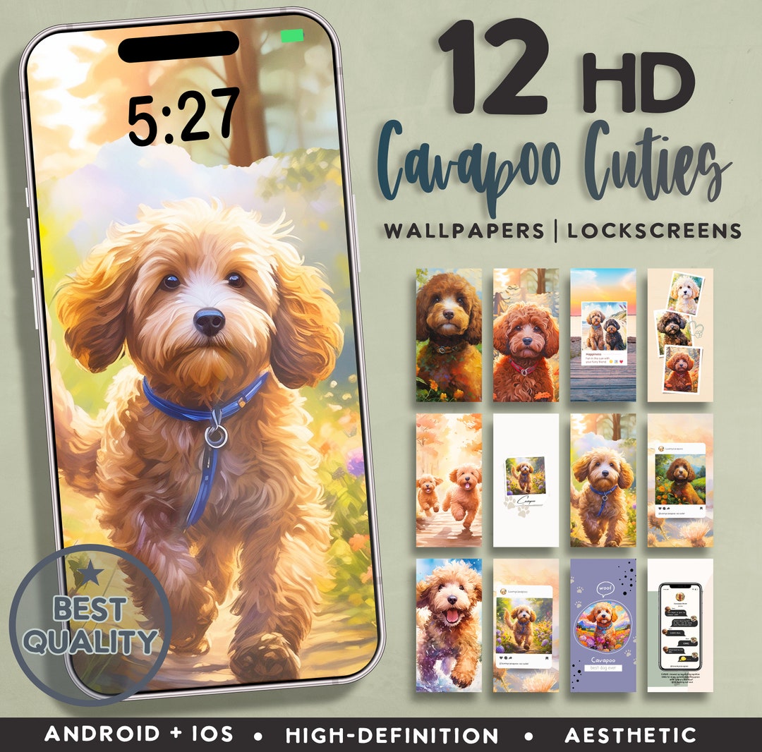Cavapoo Themed iPhone and Android Wallpaper Pack | High-resolution Cute ...