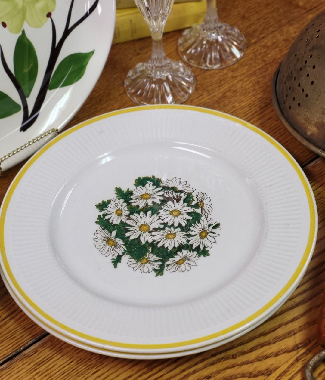 Vintage Daisy Dell Ironstone Dinner Plates Set of 2, Retro Dinner ...