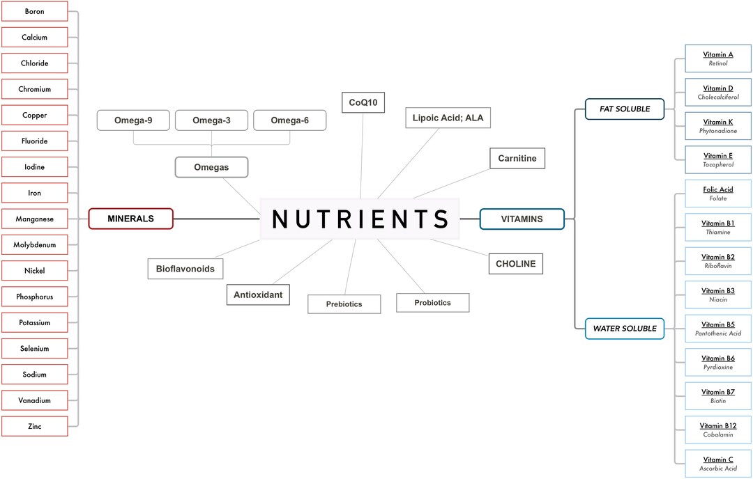 Study Materials: Printable [CNS Exam] - Etsy