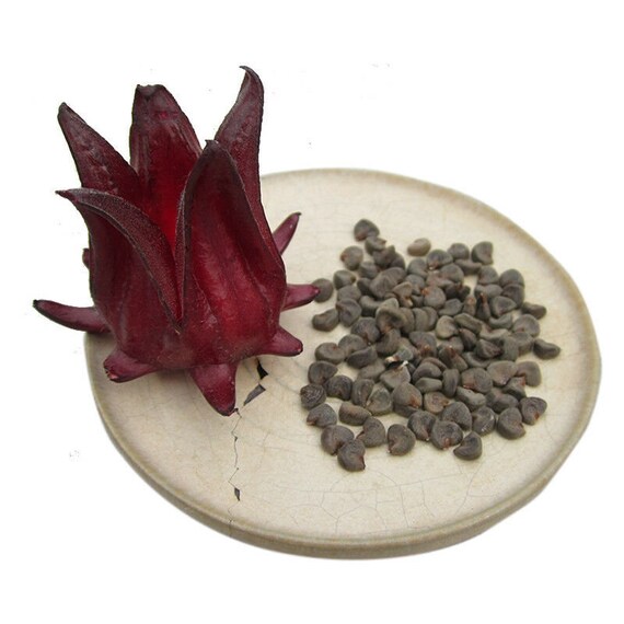 Roselle Seeds