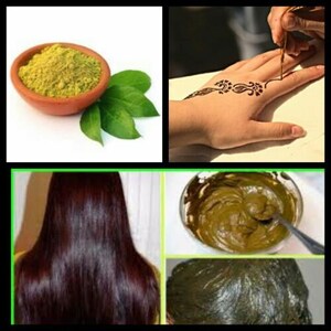 Henna Seeds - Lawsonia Inermis - Mehndi - Dye Plant - Henna Tattoo ...