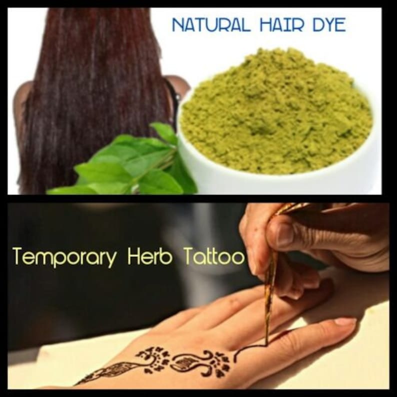 Henna Seeds Lawsonia Inermis Mehndi Dye Plant Henna - Etsy