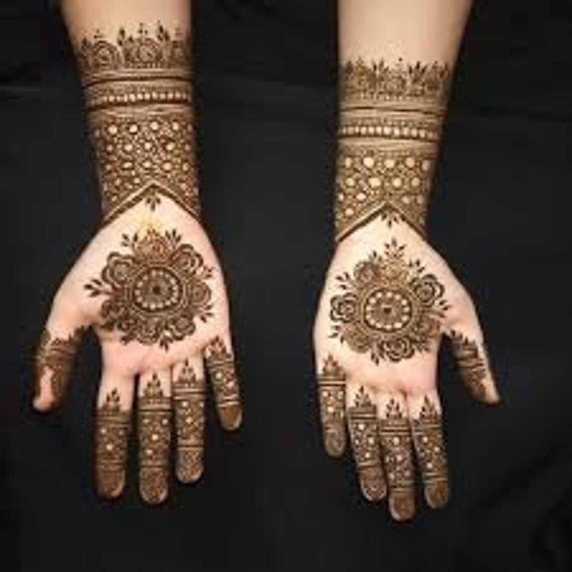 Henna Seeds Lawsonia Inermis Mehndi Dye Plant Henna - Etsy