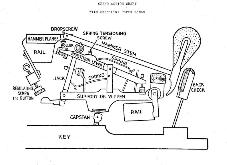 GRAND Piano ACTION MODEL Full Kit Learn to Regulate & Repair Piano ...