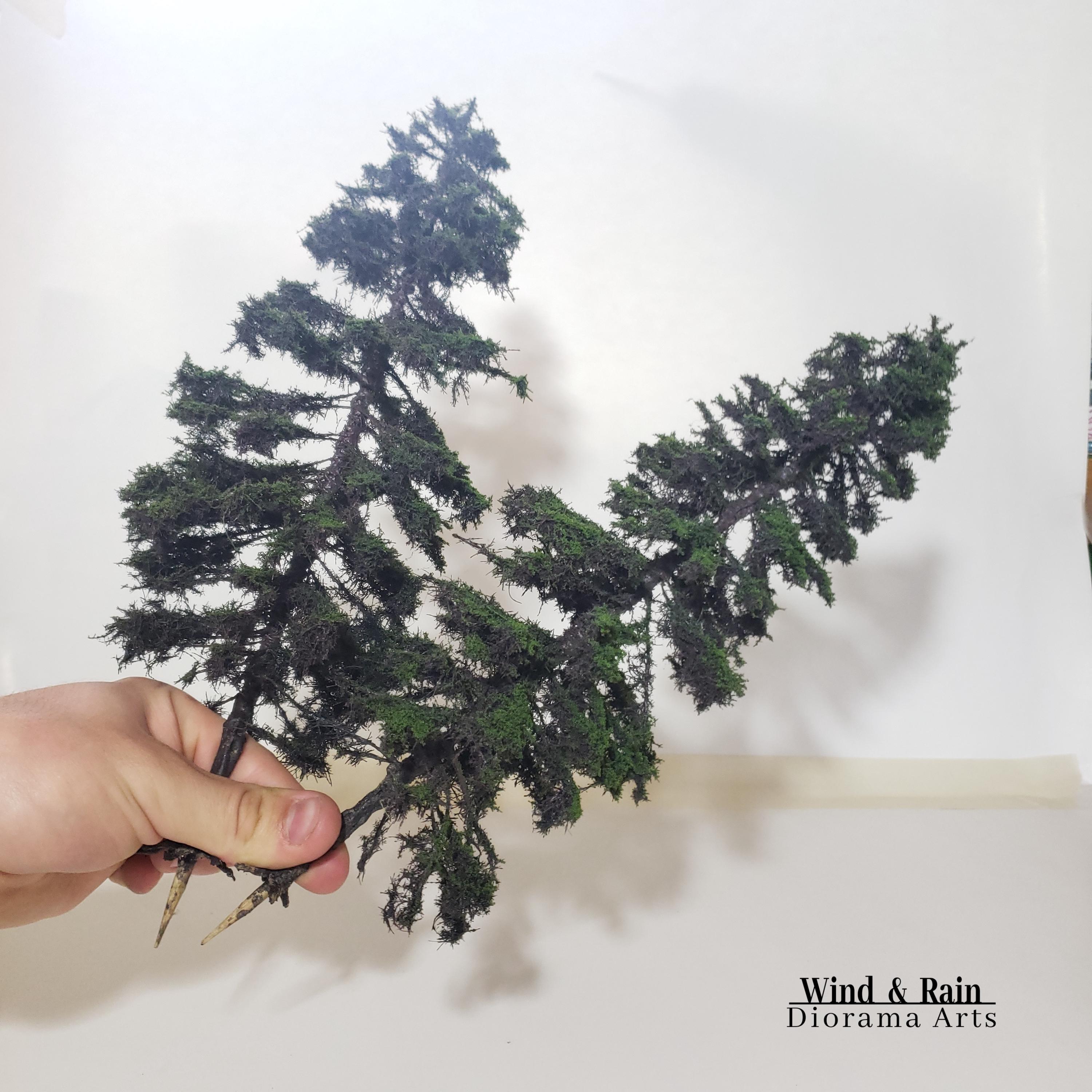 Diorama Tree, One Model Tree, Model Railroad Tree, Evergreen, High ...