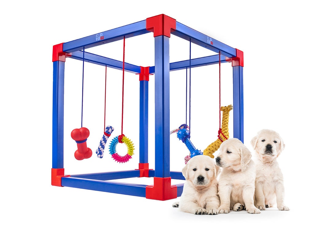 Puppy Play Gym for Dogs - Etsy