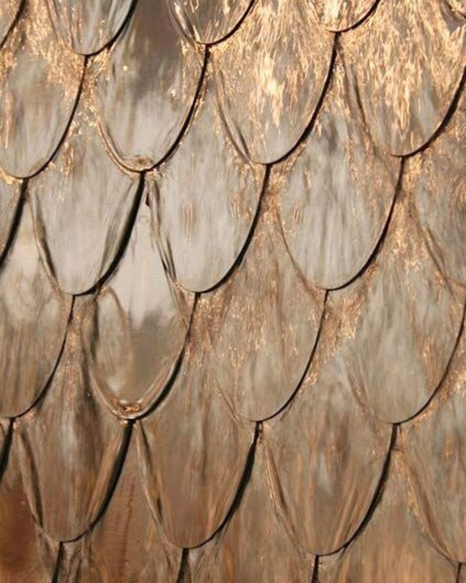 Gold Aesthetic Collage Kit, Gold Boujee Aesthetic, Aesthetic Collage ...