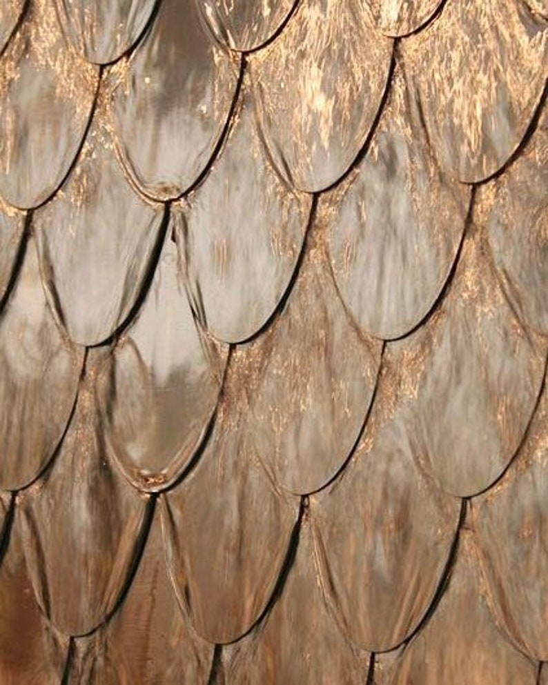 Gold Aesthetic Collage Kit Gold Boujee Aesthetic Aesthetic - Etsy