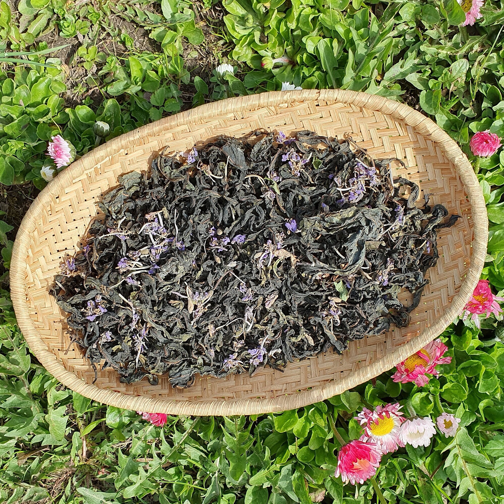 Ivan Chai / Willowherb Tea Fireweed Fermented /1.75 Oz (50g) / 3.5 Oz ...
