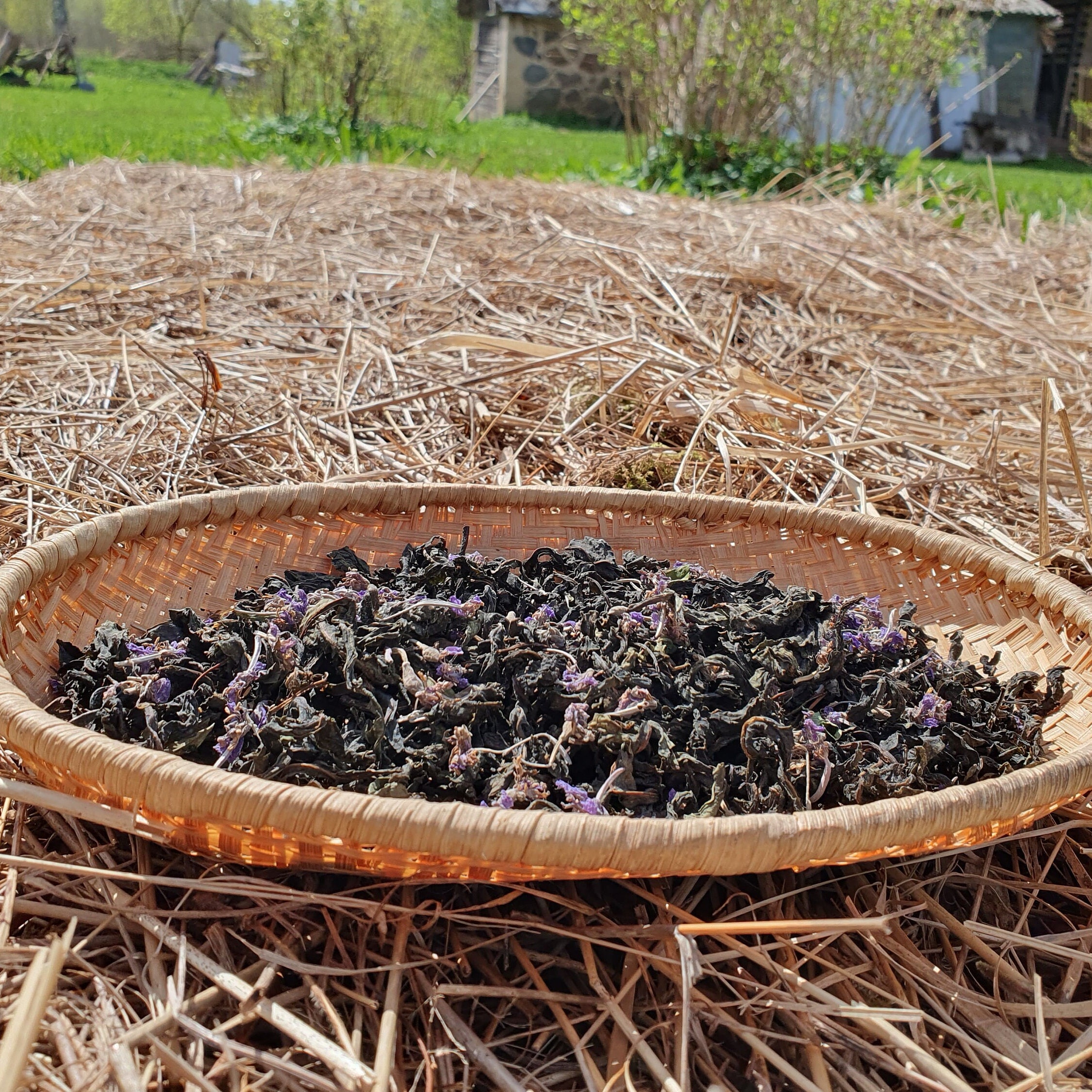 Ivan Chai / Willowherb Tea Fireweed Fermented /1.75 Oz (50g) / 3.5 Oz ...