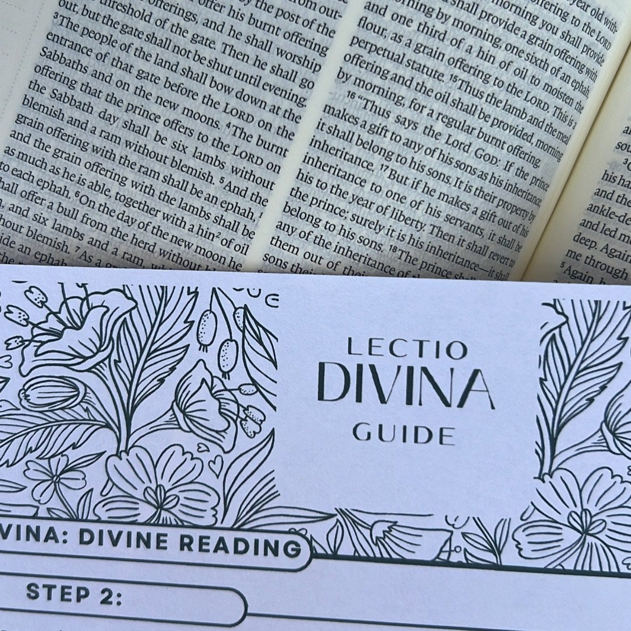 Lectio Divina Guide - Etsy