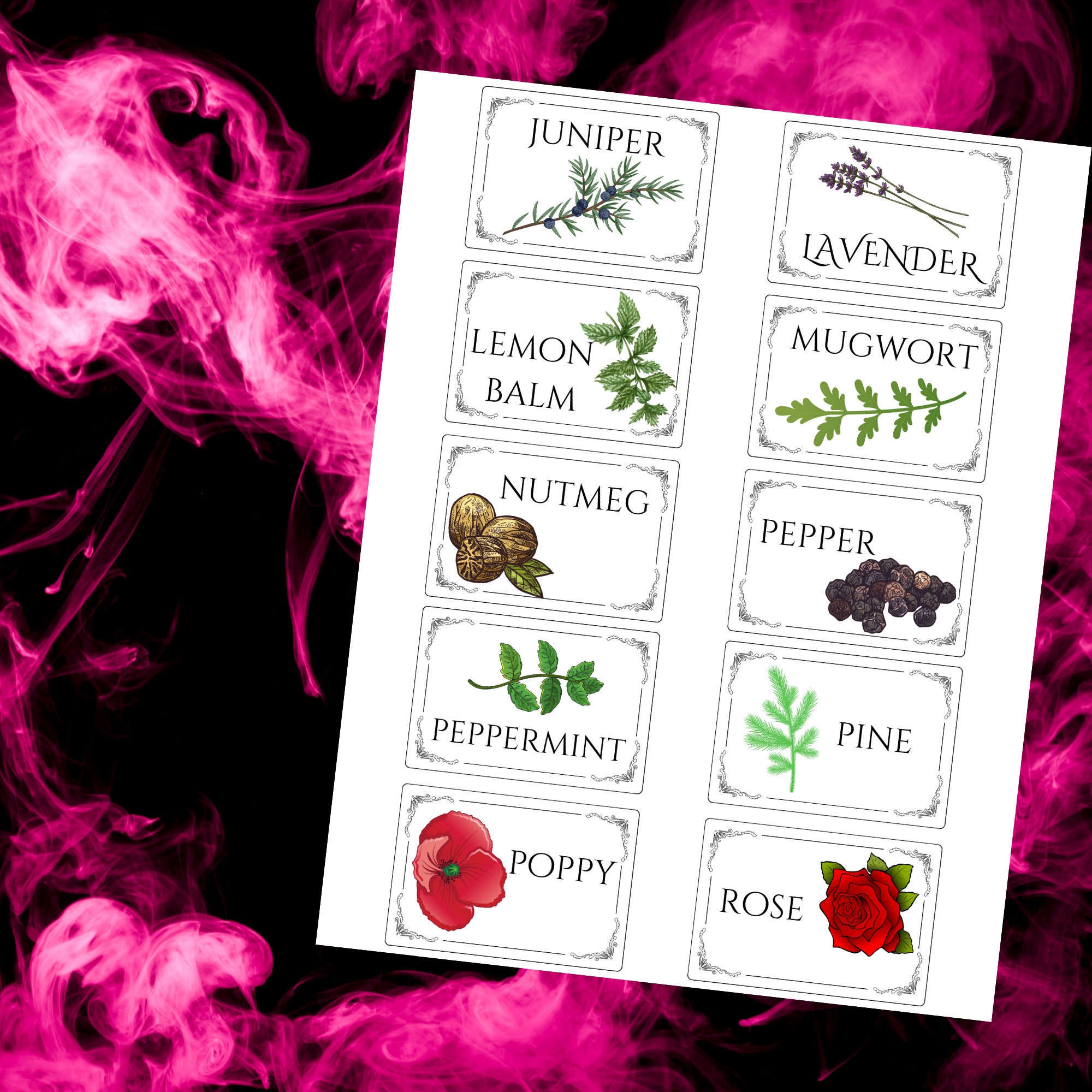 Herb Labels Printable Set of 26 Book of Shadows Spice - Etsy