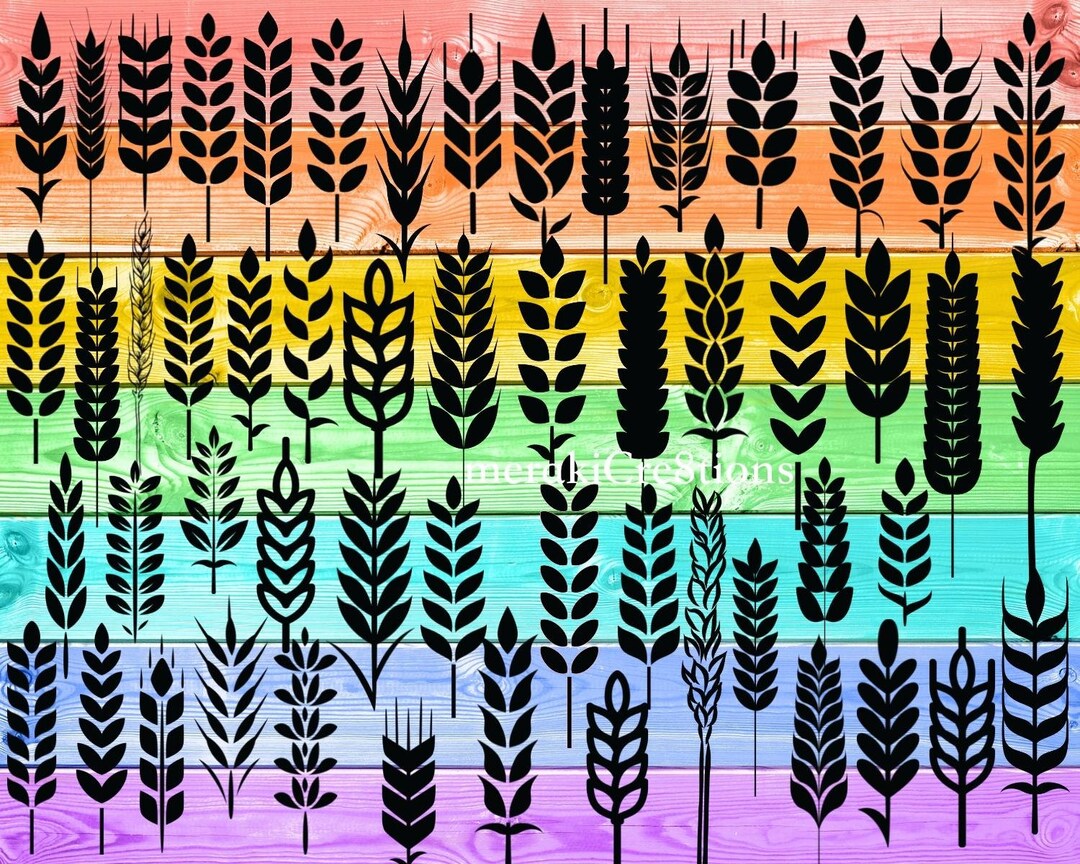 Wheat Grain Silhouette Oat Vector Bundle 300 Dpi SVG PNG - Etsy