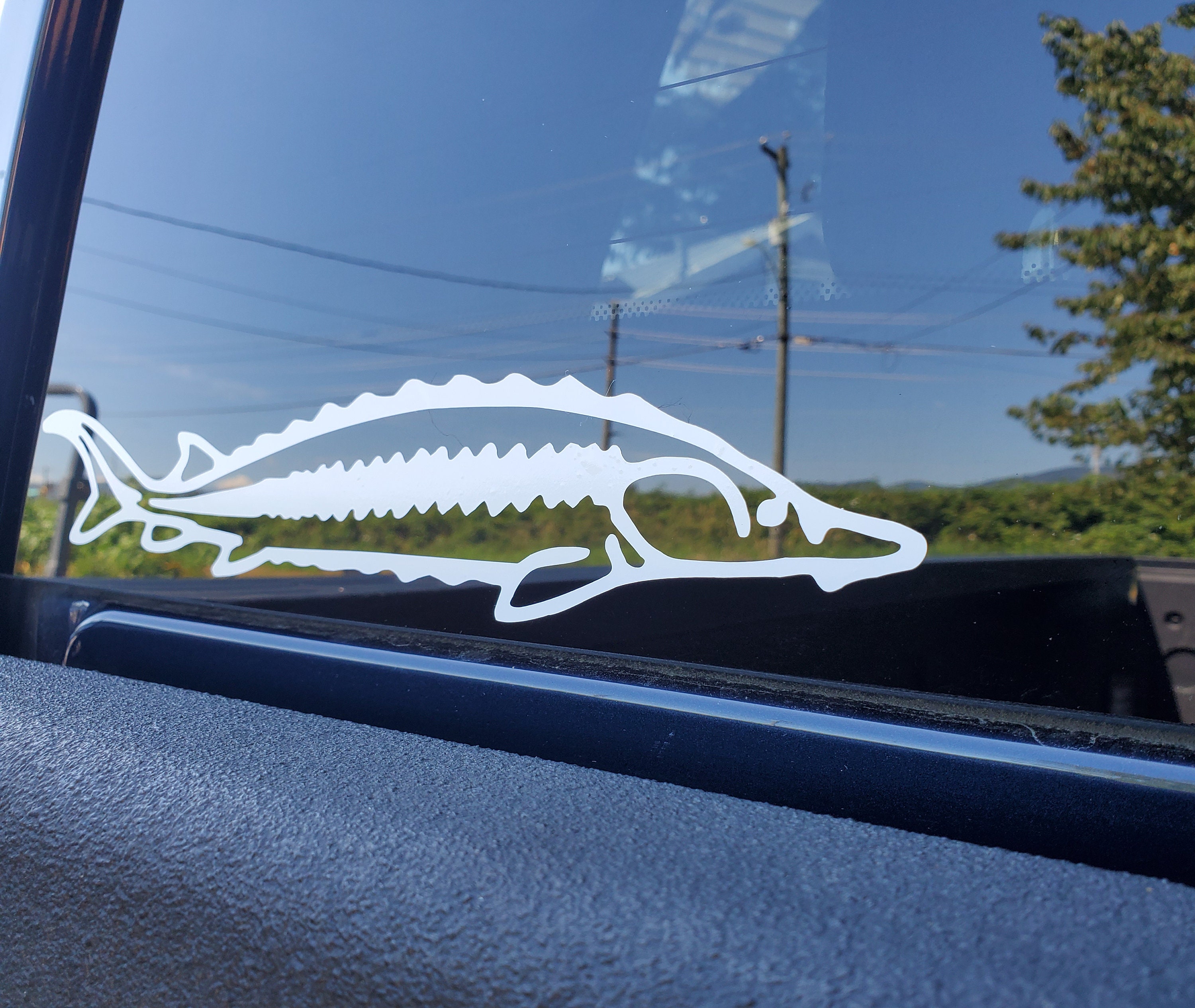 Sturgeon Decals - Etsy