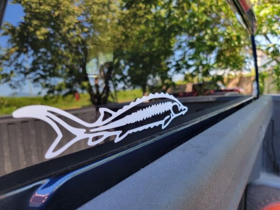 Sturgeon Decals - Etsy