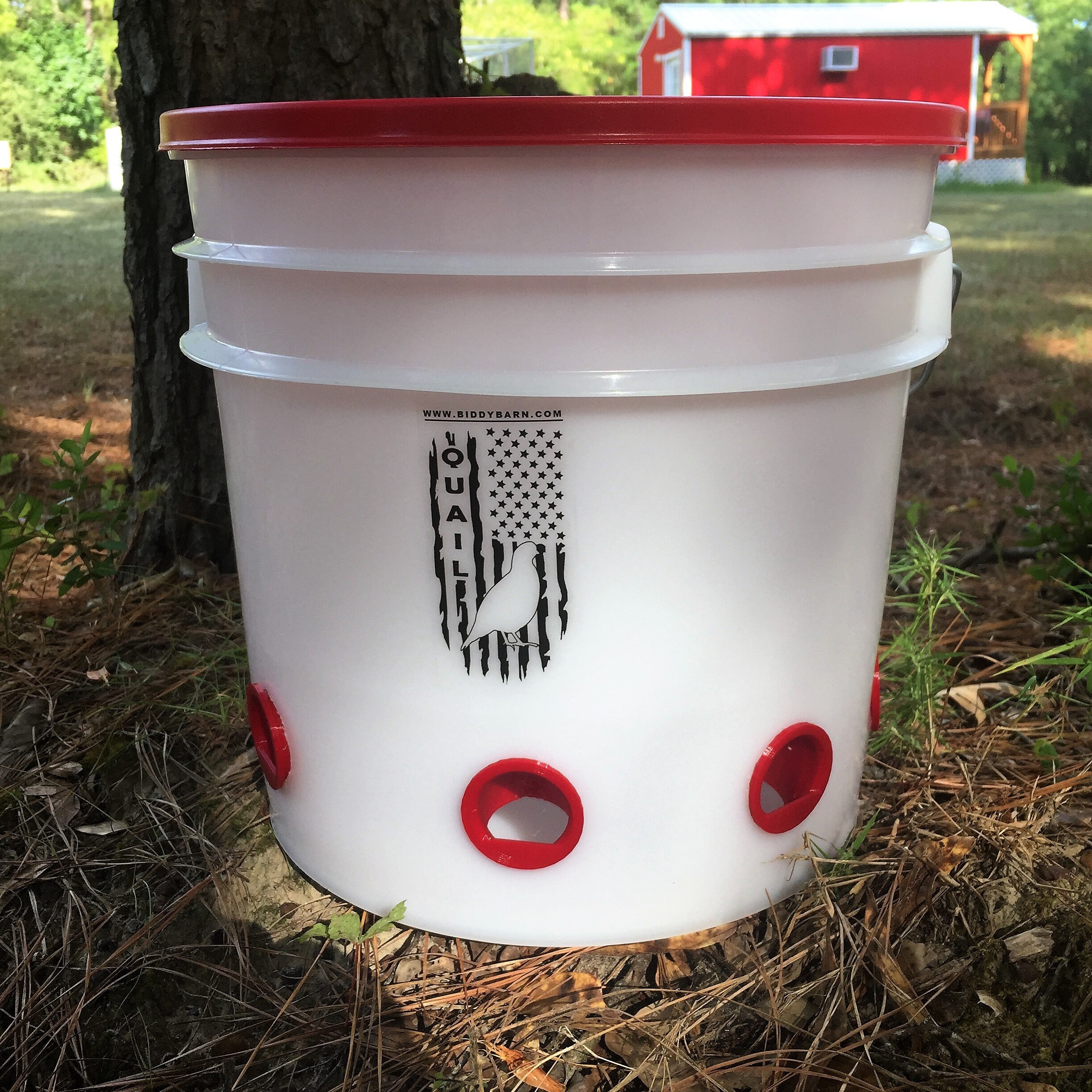 QUAIL FEEDER Reduce Waste Coturnix Quail Cage Coop Aviary for - Etsy